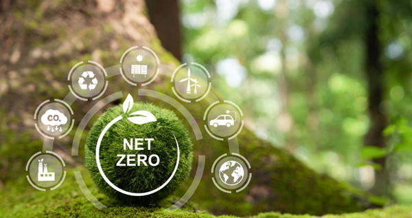 Achieving Net Zero Emissions: A Key Step towards a Sustainable Future ...